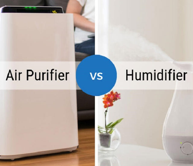 Air Purifier vs Humidifier: Which is Better for You? - Airdog USA