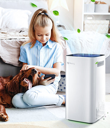 Next-Gen Air Purifiers With Green Tech TPA® | Airdog USA