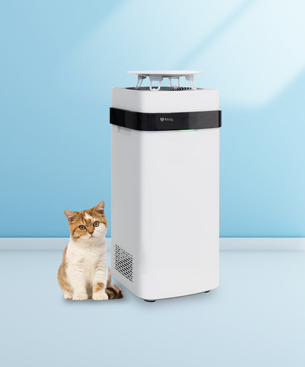 Next-Gen Air Purifiers With Green Tech TPA® | Airdog USA